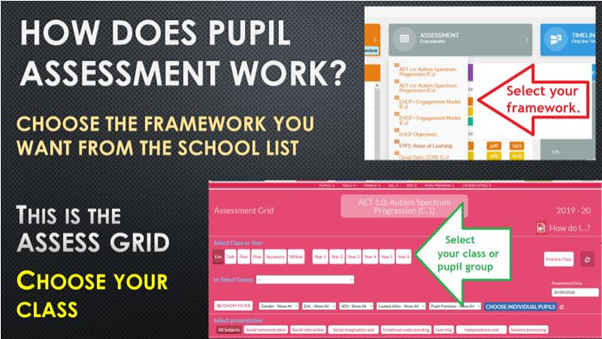 Making an Assessment – Earwig Academic